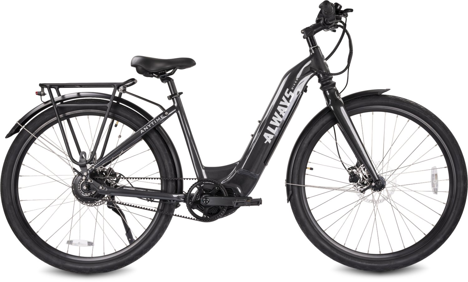 Michigan e-bike